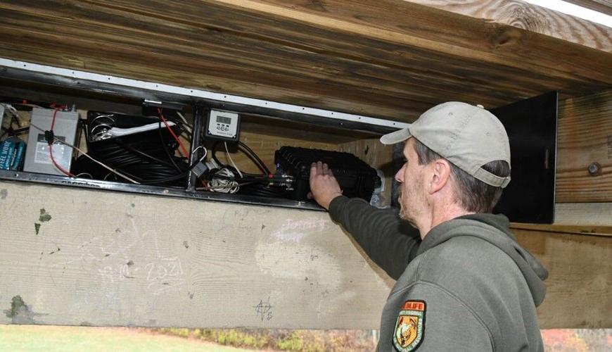 Motus operandi: New wildlife radio tracking network taking root in WV ...