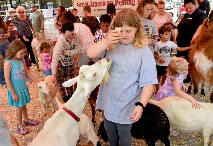 Great American Petting Zoo locations in Charleston, WV area | Kanawha ...