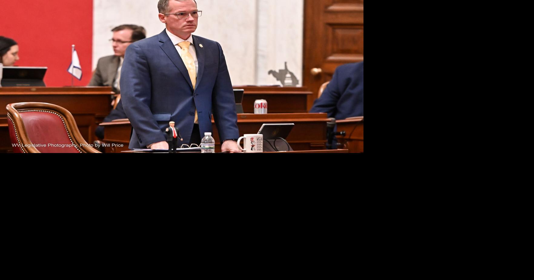 WV Senate passes bill that would create moratorium on timber-related ...