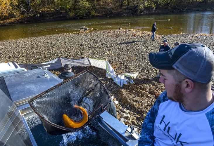 PHOTOS: Elk River trout stocking | Kanawha Valley | wvgazettemail.com
