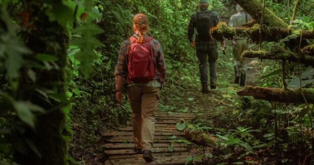 10 Health and Safety Steps for Rainforest Travel | Sponsored Content ...