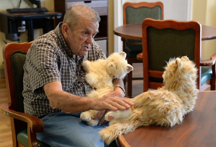 Mechanical cats generate real love for Charleston seniors | Health ...