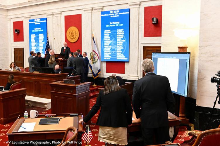 Senate takes steps forward but ultimately falls back on redistricting ...