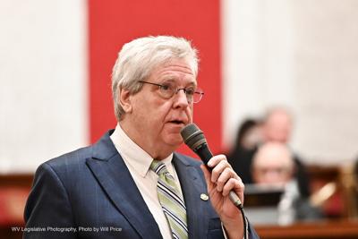 State Sen. Mike Woelfel will push a child care tax credit | Politics ...