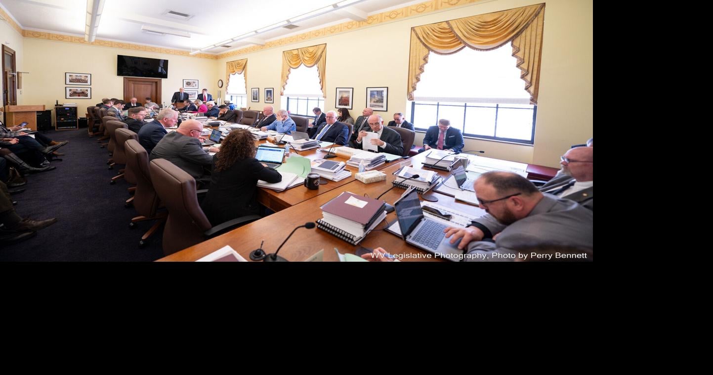 WV House panel OKs bill raising renewable capacity cap | Legislative Session | wvgazettemail.com