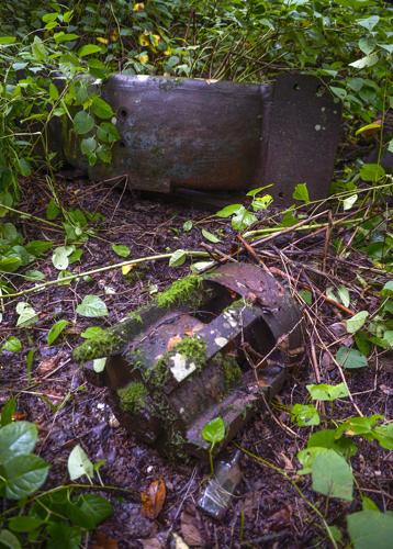 Passage of time, rebounding forest slowly obliterating coal camp of ...