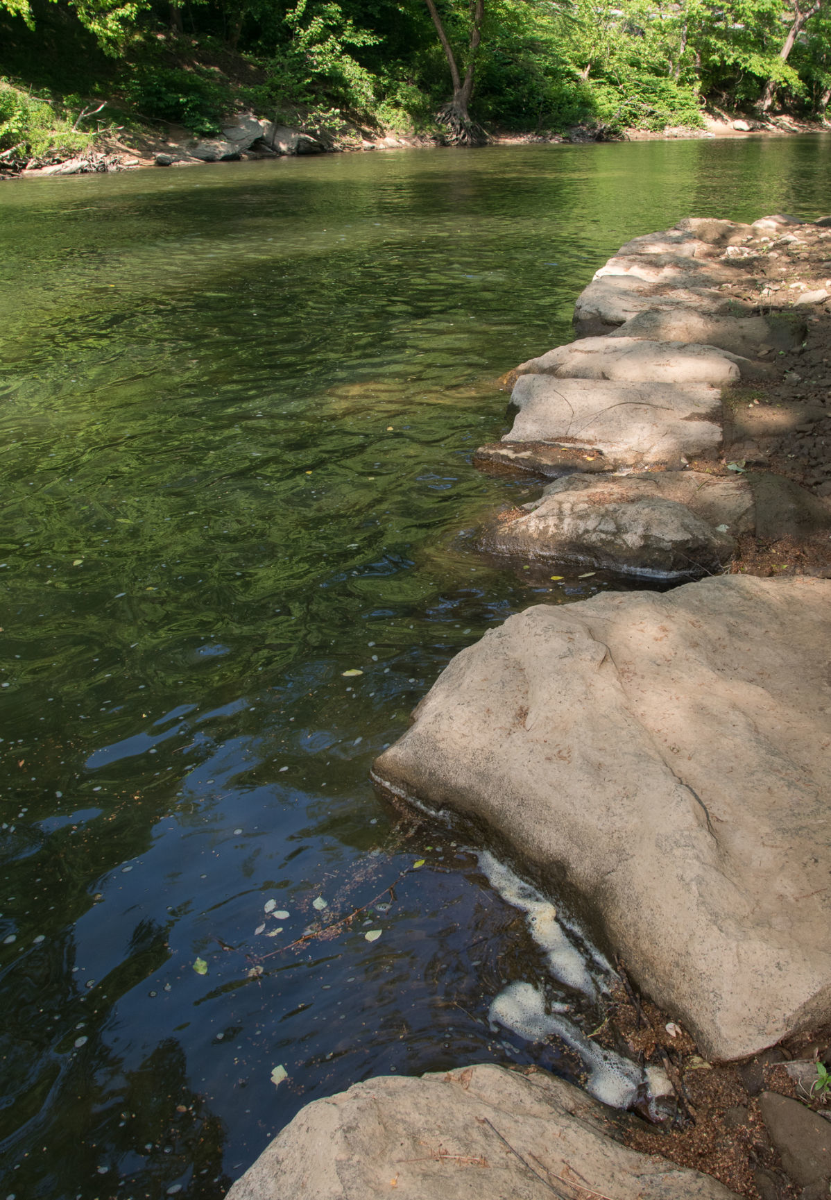 Habitat improvements spark revival in Little Coal River fishery ...