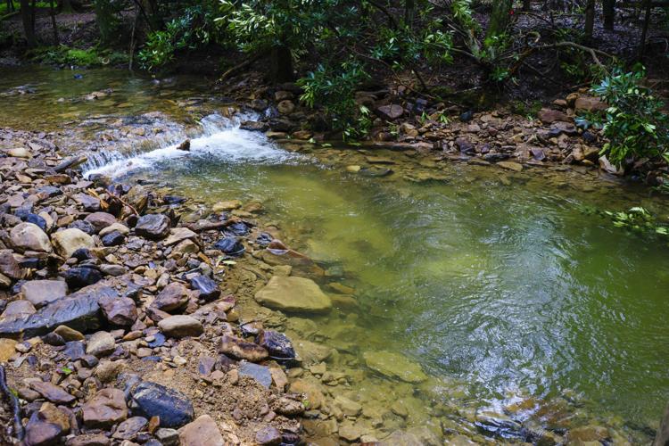 Stream improvements in Holly River State Park a preview of future ...