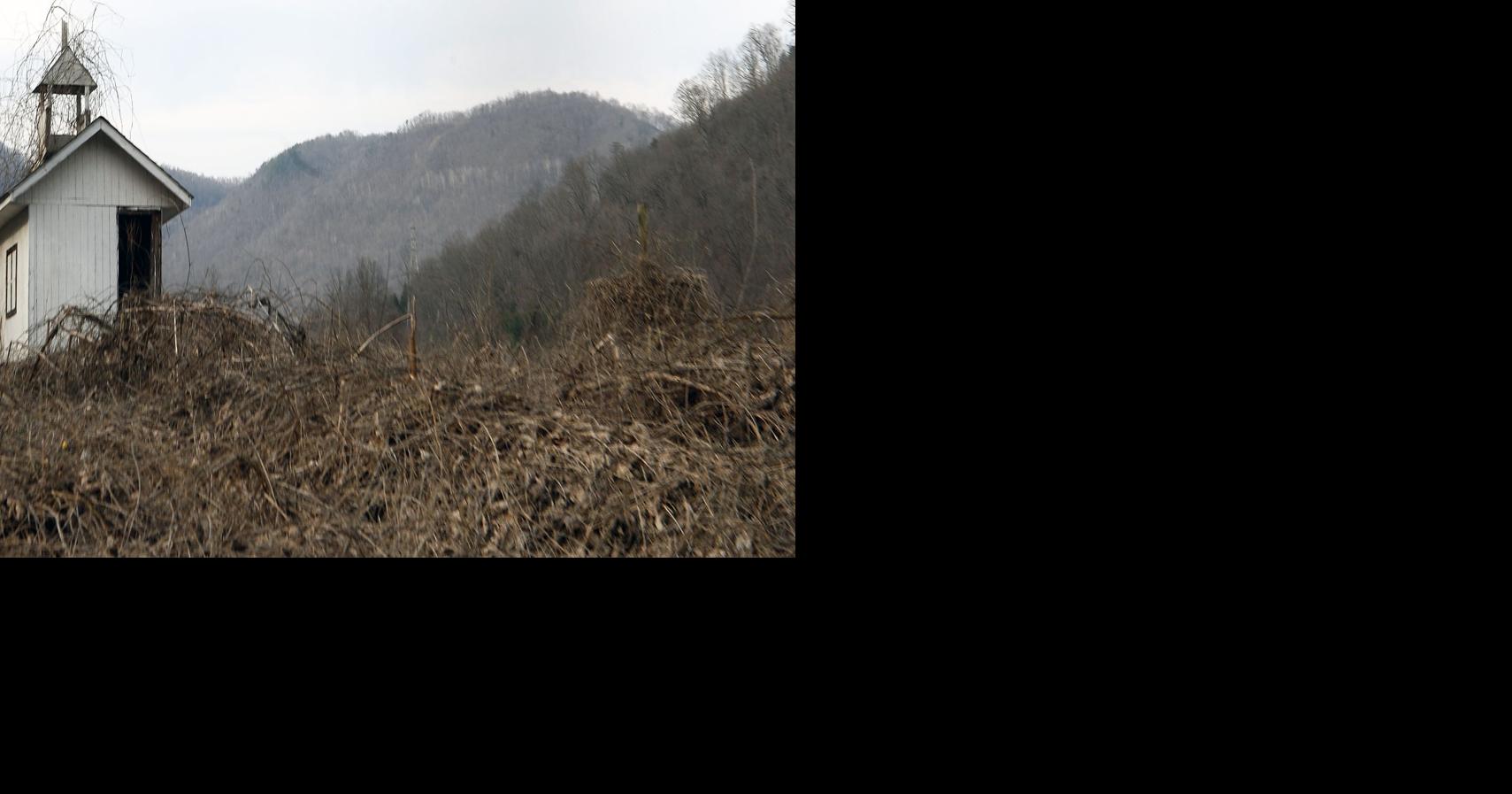 Kudzu | News | wvgazettemail.com