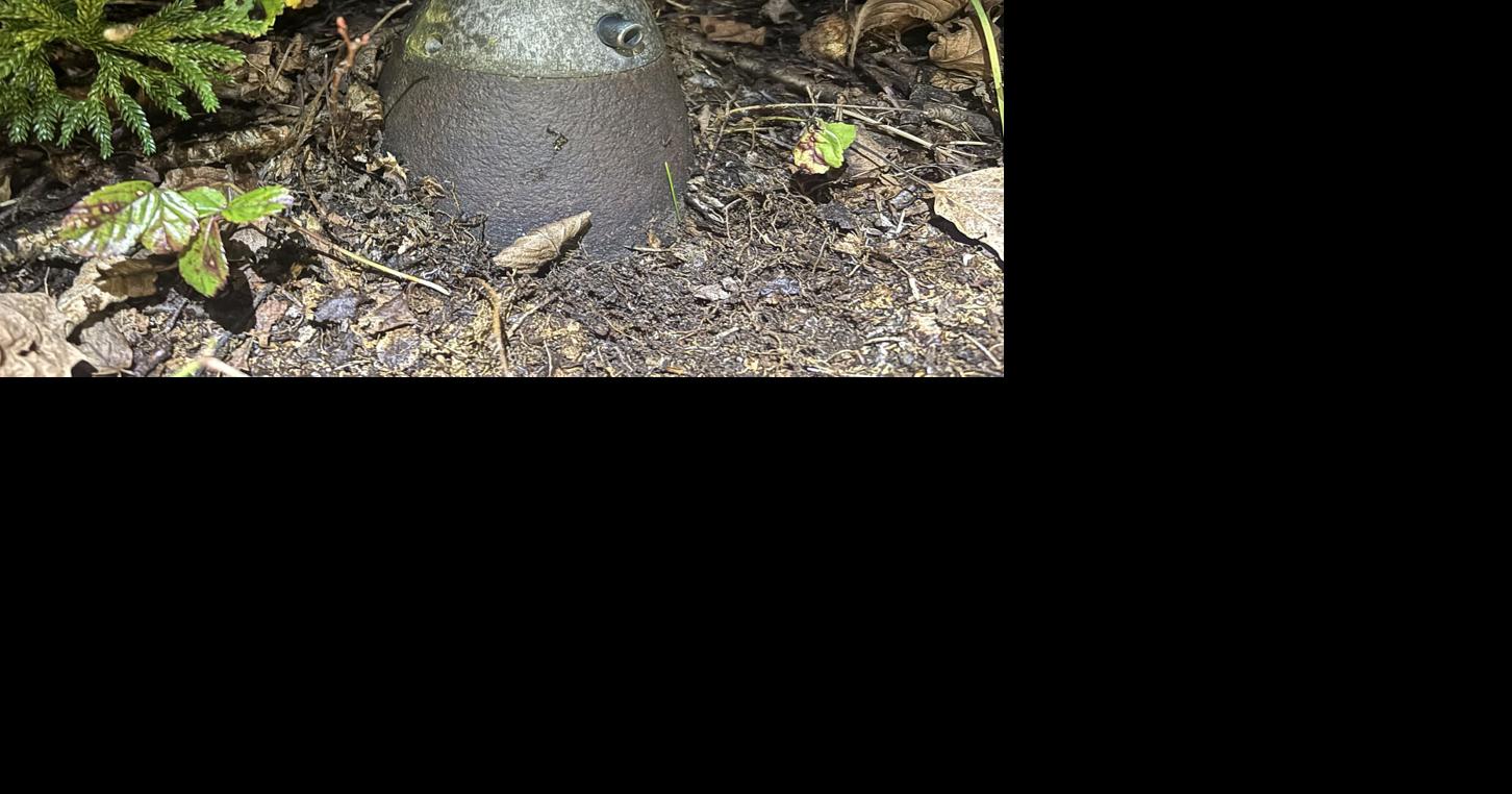 Unexploded shell found in Dolly Sods Wilderness Area in WV | Outdoor ...