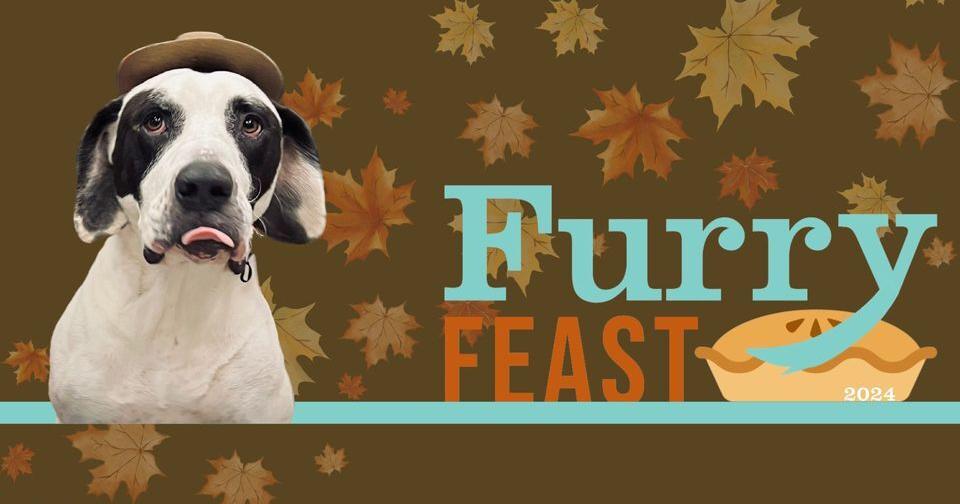 KCHA 'Furry Feast' outing set for Thanksgiving morning | Metro Kanawha ...