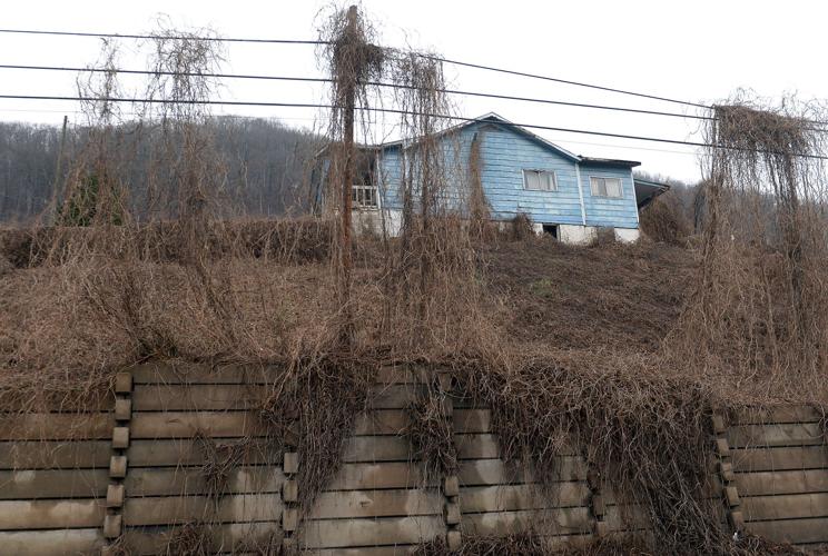 Kudzu | News | wvgazettemail.com