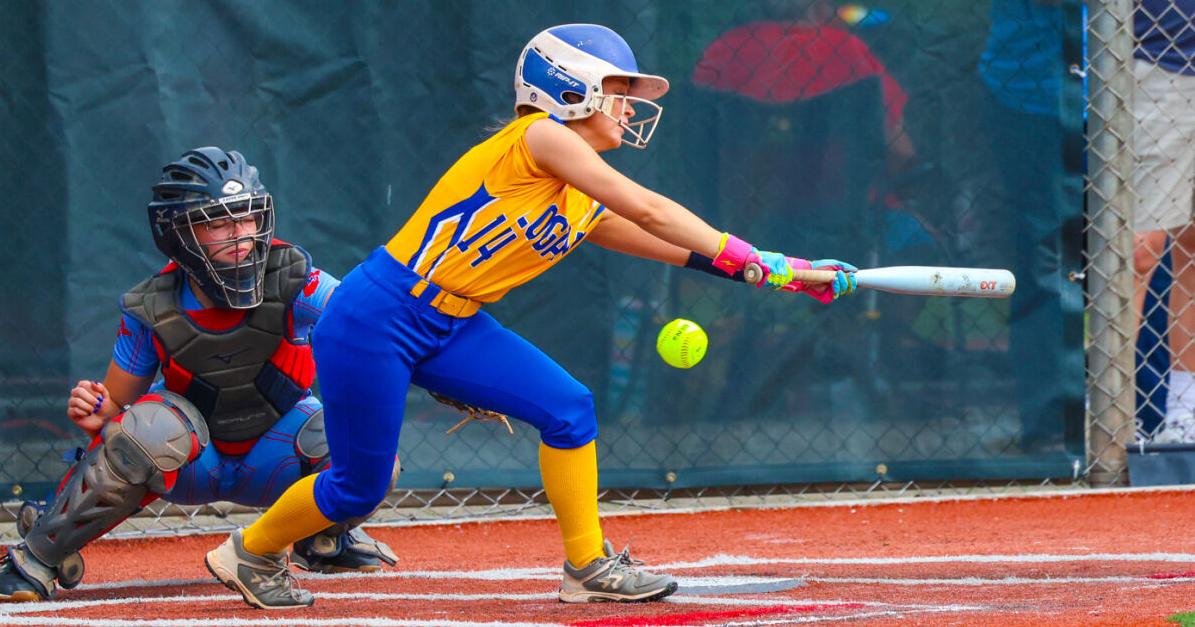 Class AA: Logan opens softball tourney with no-no | Softball ...