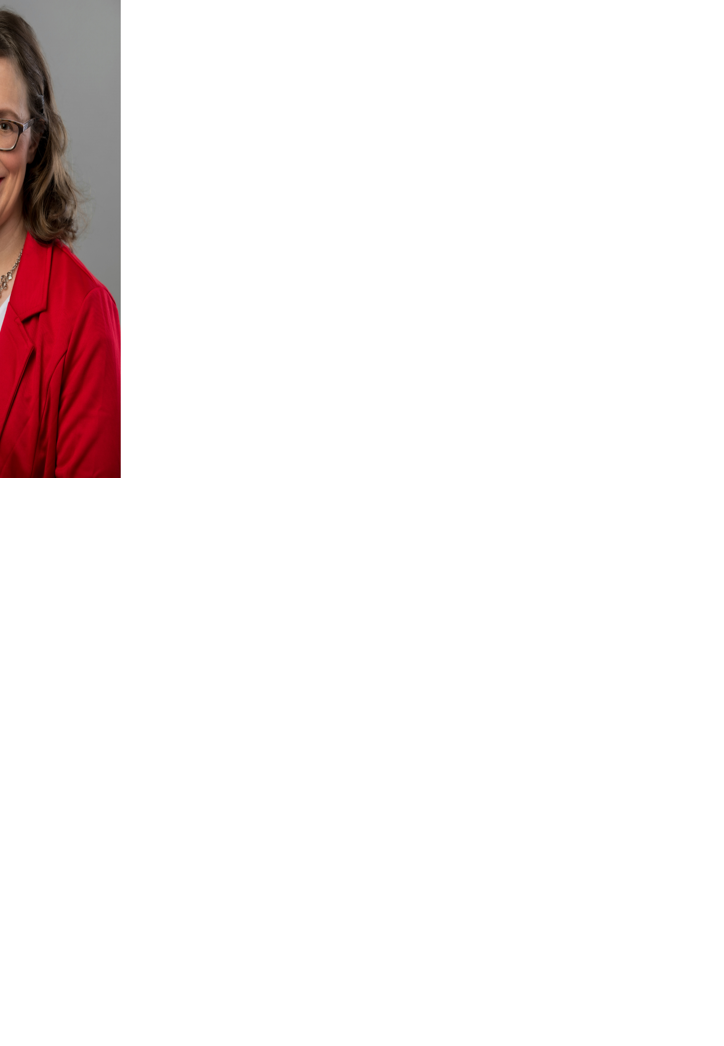 Two Democrats, two Republicans run to represent Ward 15 on Charleston ...