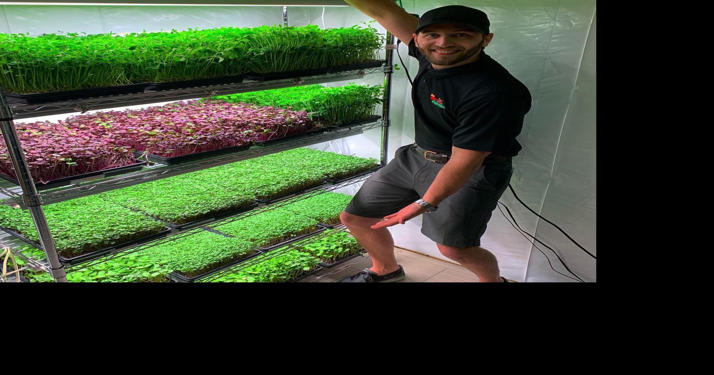 Oh My Greens built on lots of OMG moments | Food & Dining ...