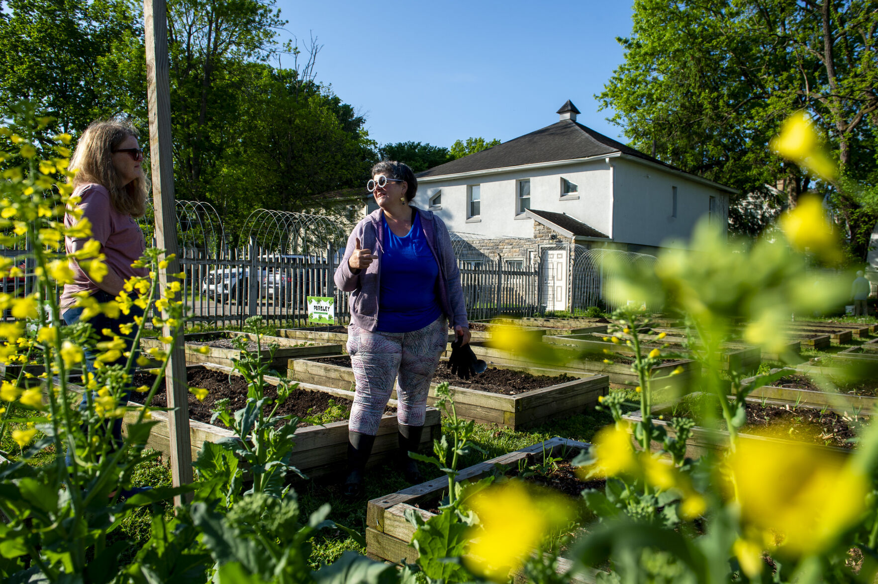 Carolyn Sue Young, Garden Program Director in Charleston | Galleries ...