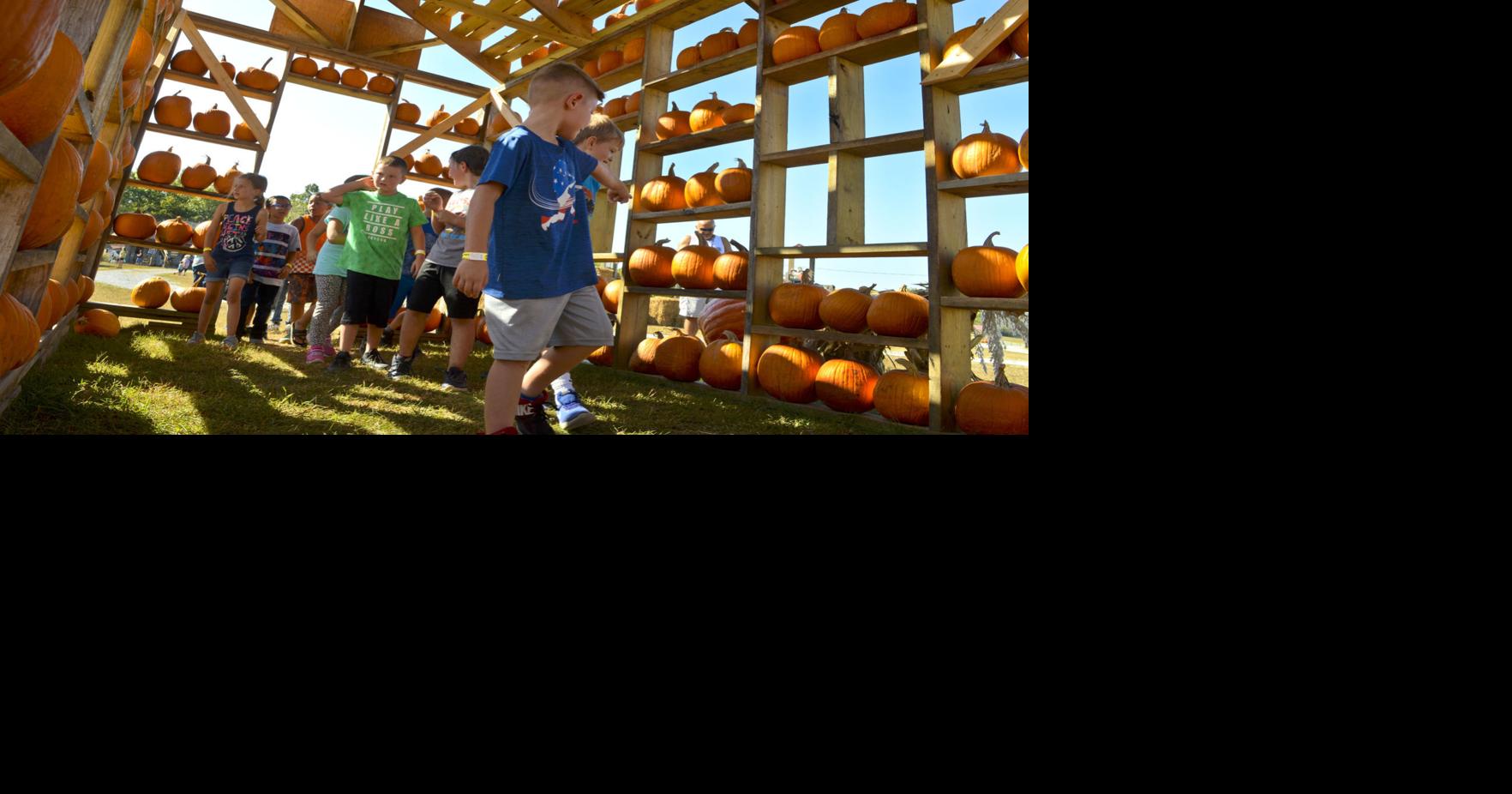 Farm’s pumpkin patch grows into smashing agritourism attraction | Life ...