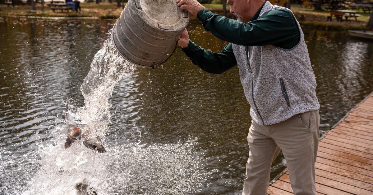 Fall trout stockings, Monster Trout Contest return this month | Metro ...
