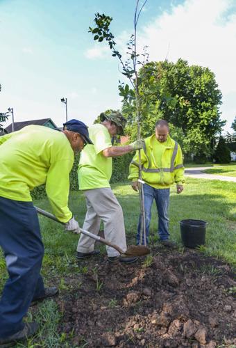Charleston surpasses goal of planting 100 trees | Kanawha Valley ...