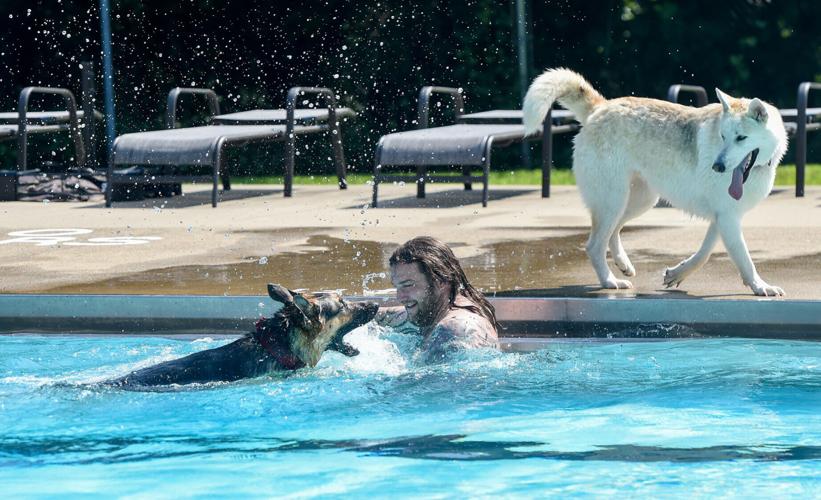 PHOTOS: Puppies take over St. Albans City Pool | Kanawha Valley ...