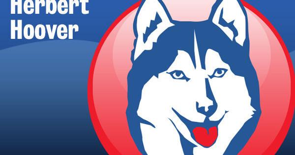 Prep swimming: Herbert Hoover swimmers take second-year program to ...