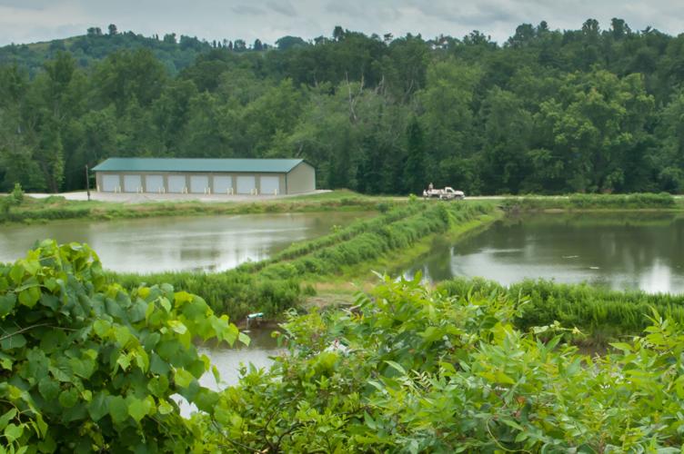 Repaired fish hatcheries hold promise for WV anglers | Hunting ...