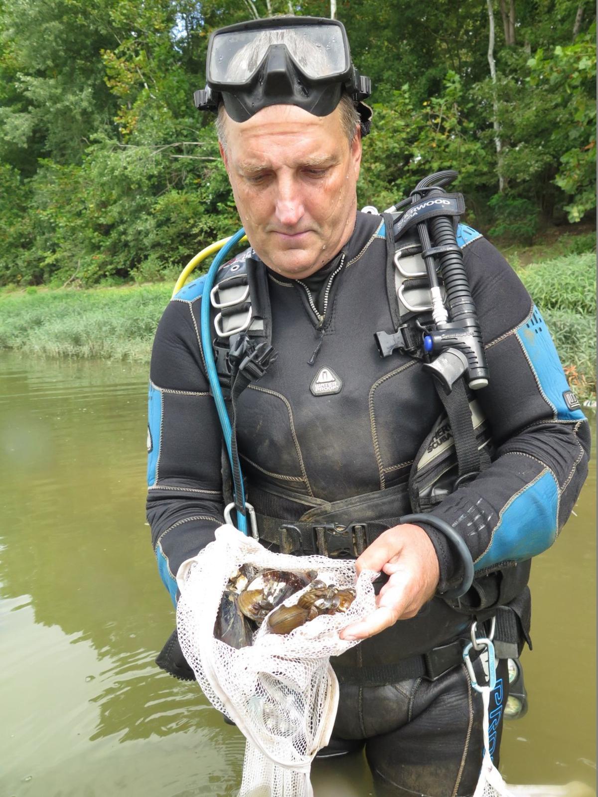 Marshall divers studying native mussels in Ohio River | Life & Arts ...