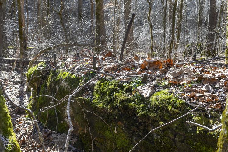 When its sawmill ran out of trees to process, Gorge hamlet of Hamlet ...