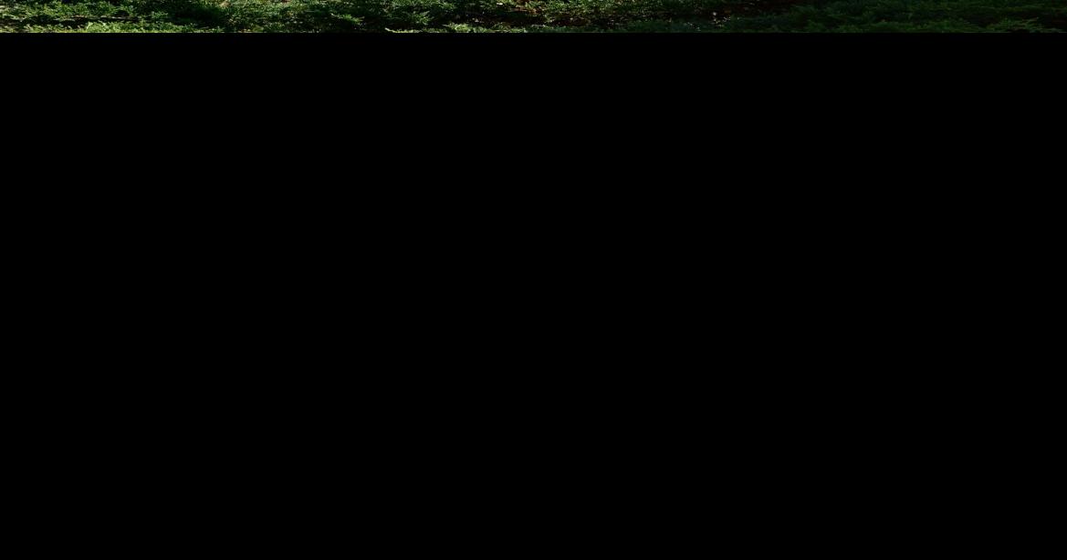 State Historic Preservation Office lecture series to feature Fort ...