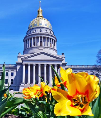 Photos: Mountain State spring | Wild & Wonderful West Virginia ...