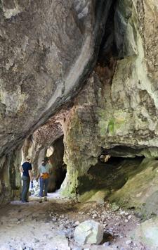 Greenville Saltpeter Cave Preserve: WV Land Trust purchase | Recreation ...