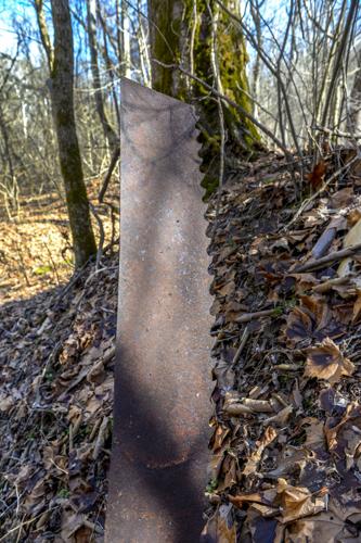 When its sawmill ran out of trees to process, Gorge hamlet of Hamlet ...