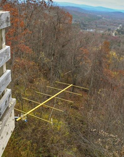 Motus operandi: New wildlife radio tracking network taking root in WV ...