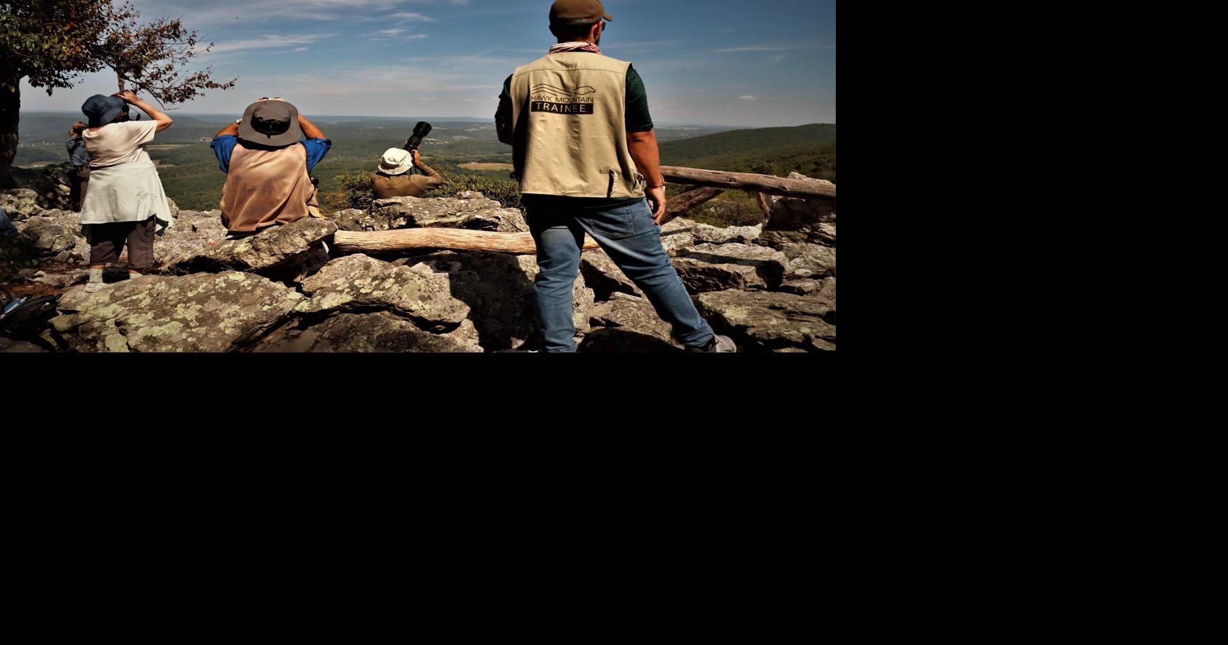 WV Travel Team: Scanning the skies for birds of prey along the ...