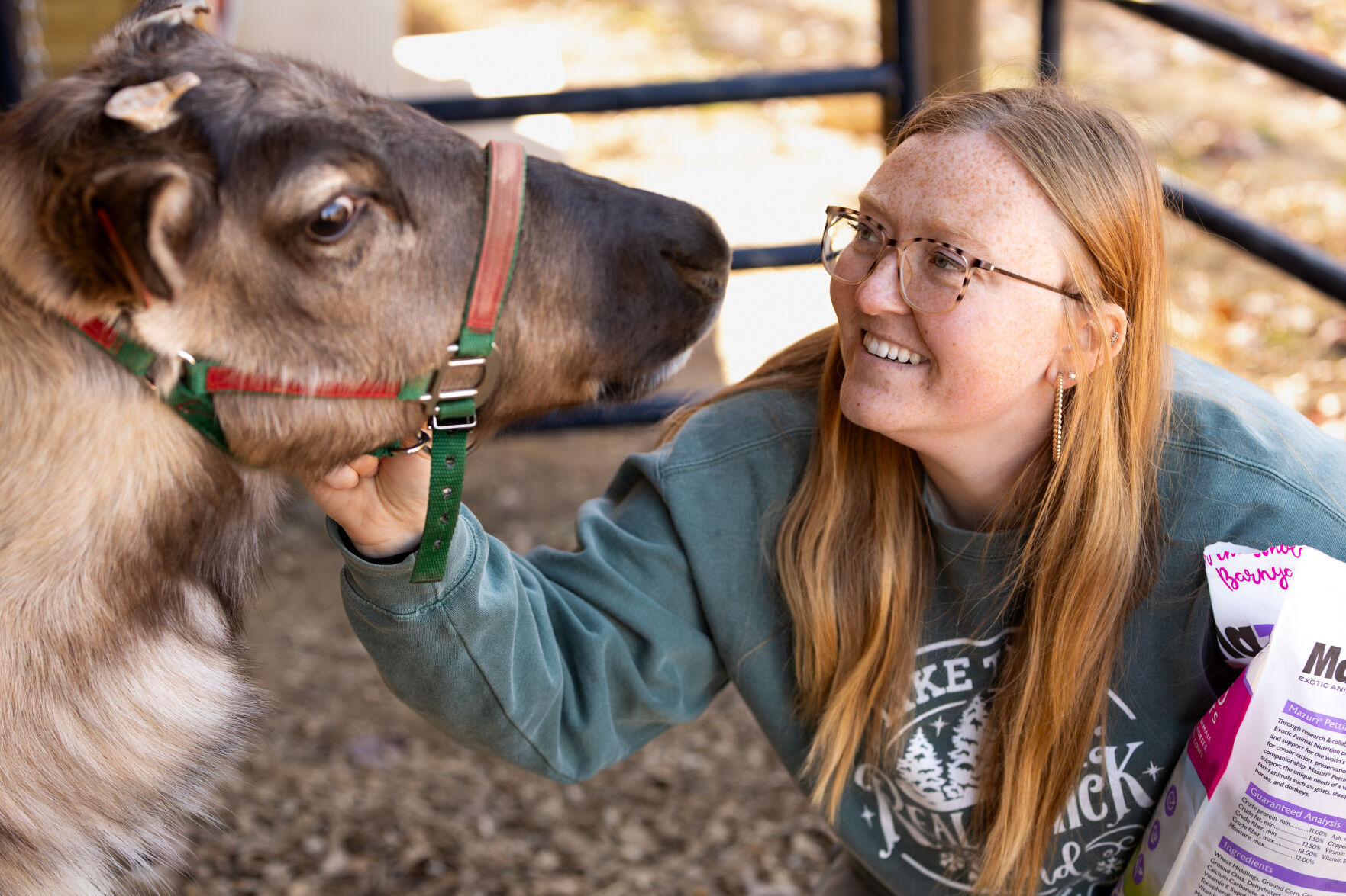West Virginia's only reindeer at Old School Christmas Farm | Putnam ...