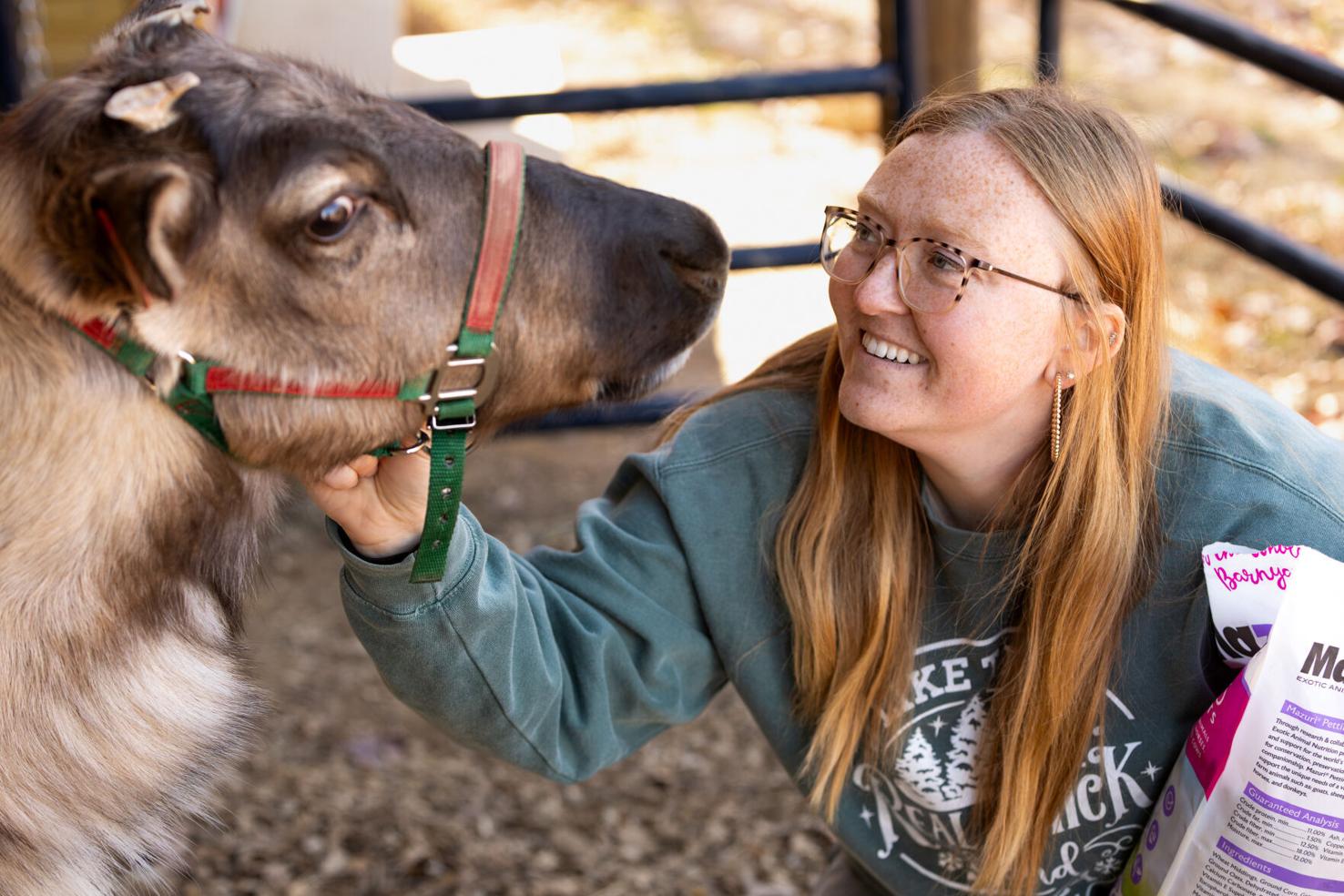 West Virginia's only reindeer at Old School Christmas Farm | Putnam ...