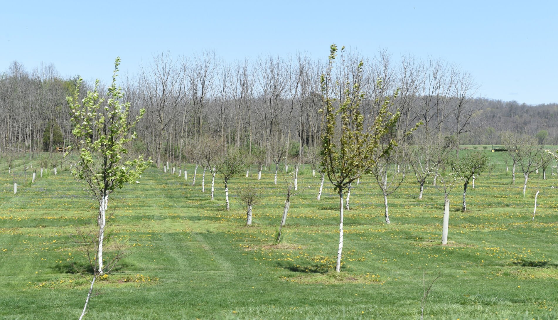 George Washington's 'Lost Colony' in Mason County, WV | Kanawha Valley ...