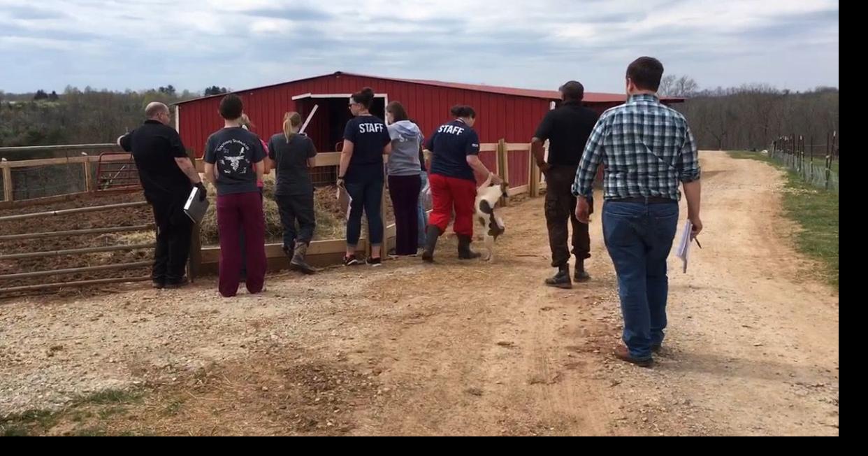 Dozens of animals taken from Putnam farm | Putnam County ...