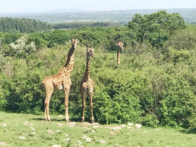 A passion to help | News | wvgazettemail.com