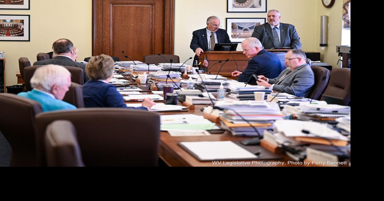 WV House panel OKs critical materials property tax limit | Legislative Session | wvgazettemail.com