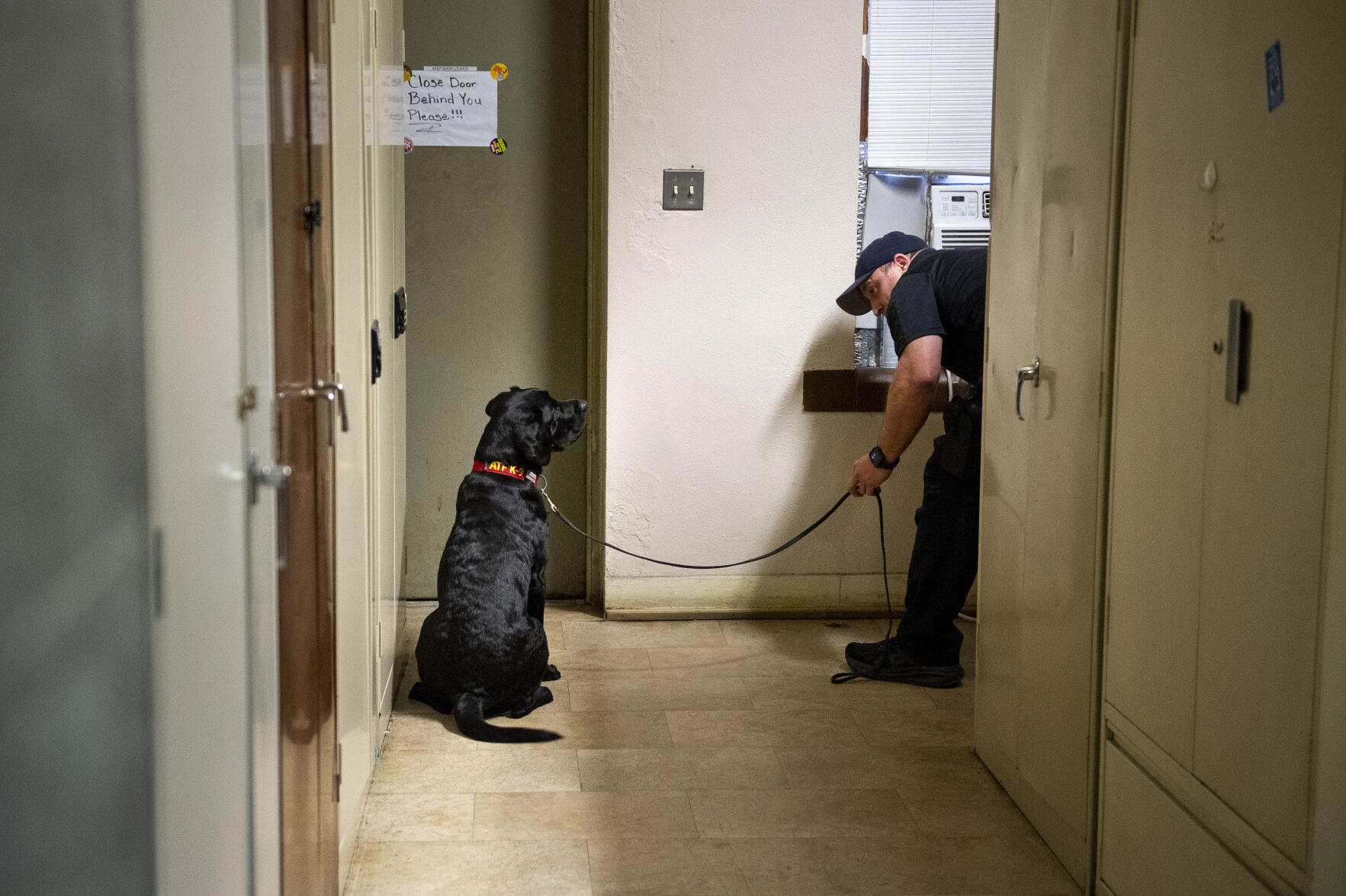 Photos: Meet Pancake, the Charleston Fire Department's first accelerant ...