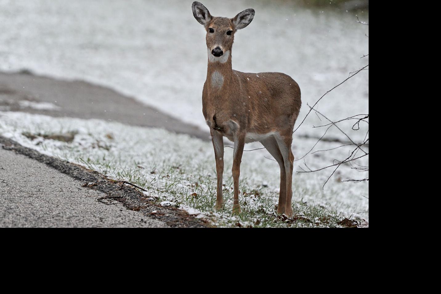 Charleston, WV weather forecast for Jan. 3, 2025, beyond | Kanawha ...