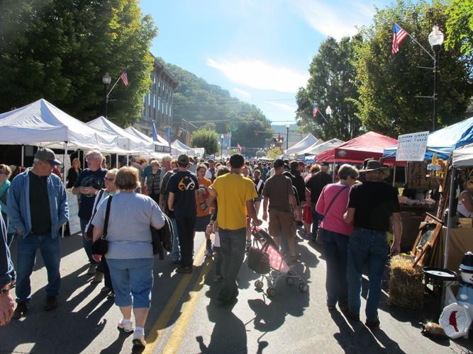 Name of the game: Pocahontas County hosts annual Roadkill Cook-off ...