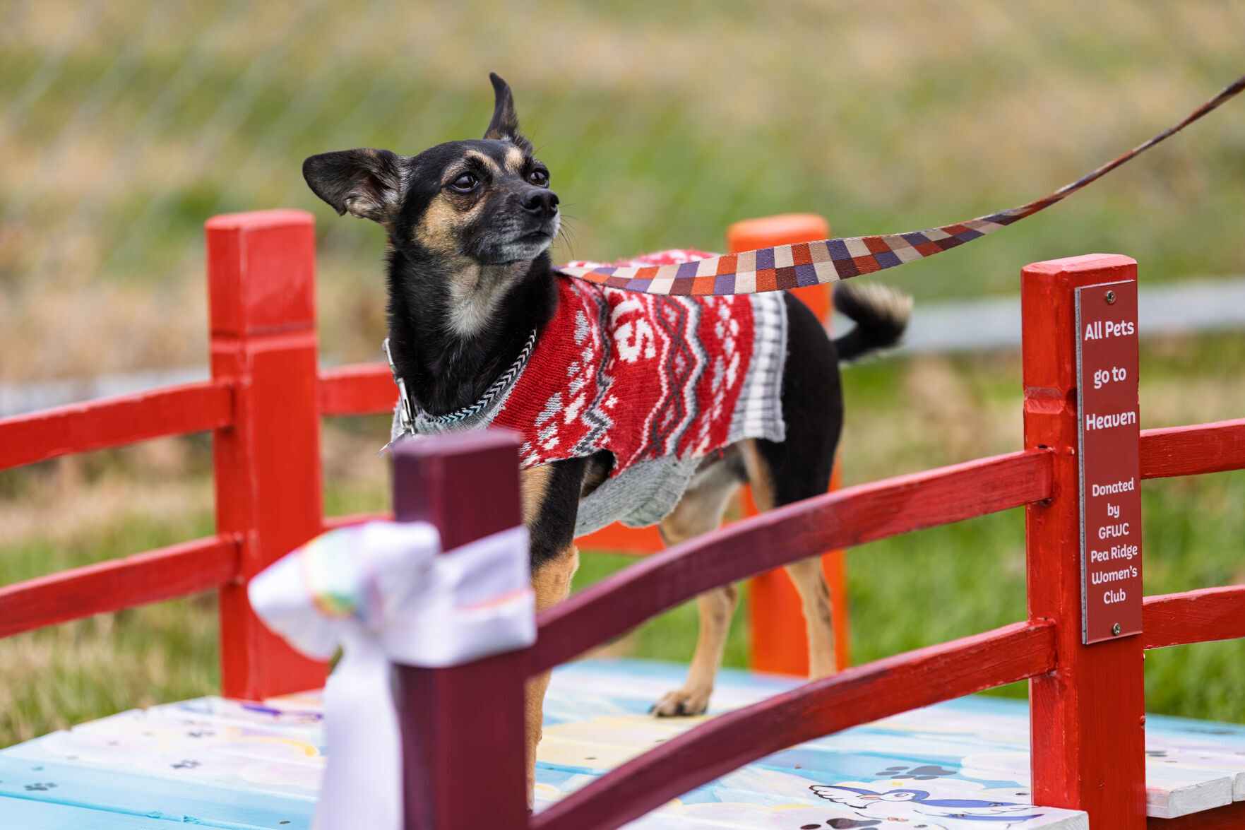 Women's Club dedicates Cabell County's first rainbow bridge | Life ...