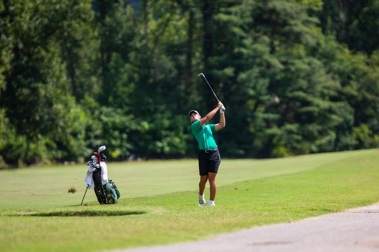 Winfield, Hawkins win Ridgely Invitational golf titles | Sports ...