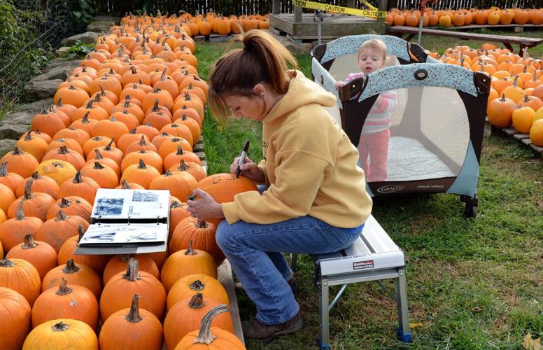 3,000 pumpkins later, Kenova Pumpkin House comes to life | Life & Arts ...