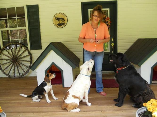 Was it the cornbread? Red House rescue dog has 10-puppy litter | Metro ...