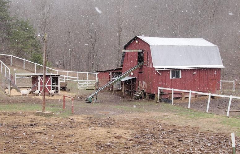 Sassafras Farm workshops offer a taste of country living | Metro ...