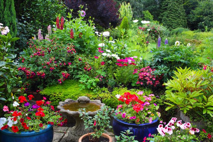 Good 2 Grow: A rare full moon and other blues for your garden | Life ...