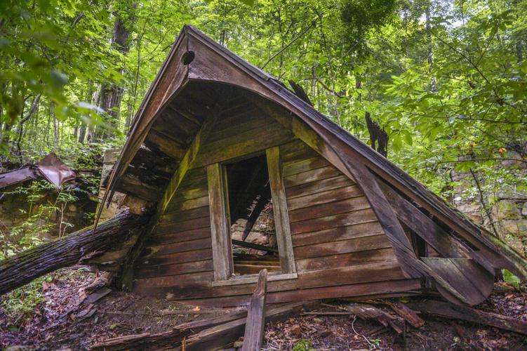 Passage of time, rebounding forest slowly obliterating coal camp of ...